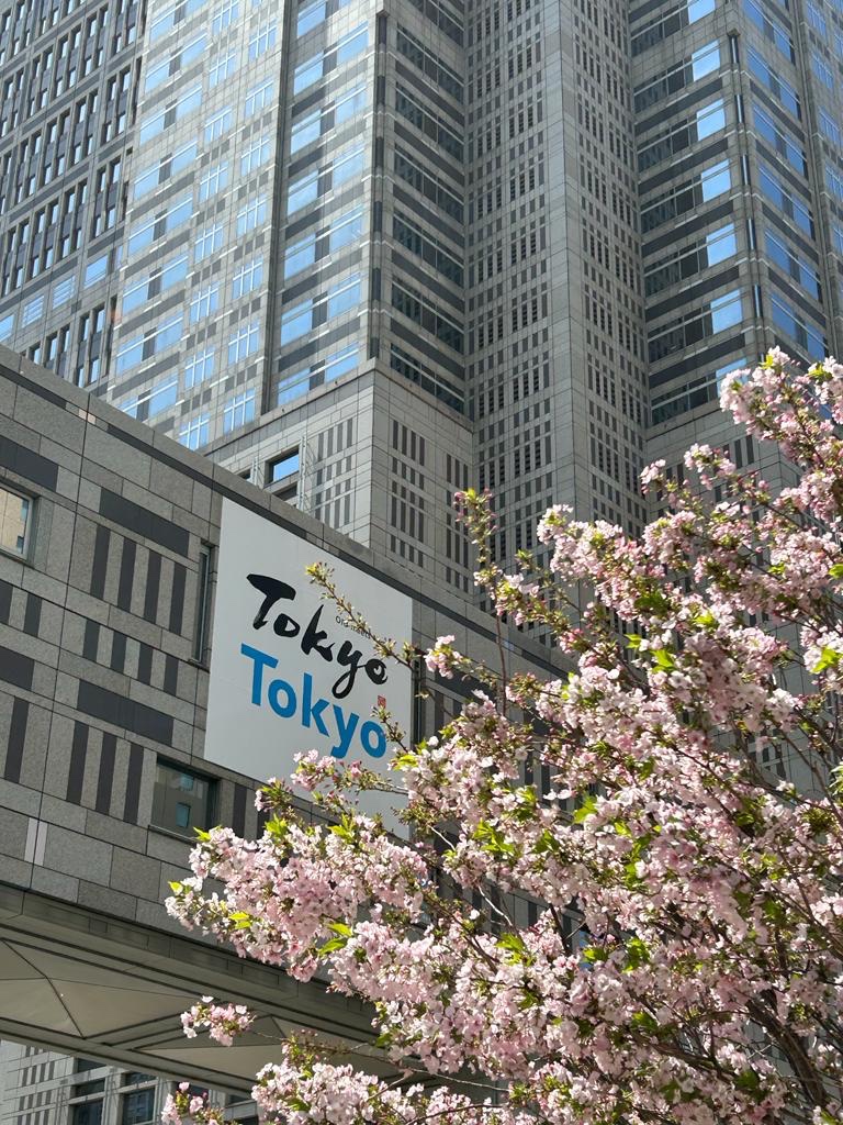 Day 1: Tokyo Vacation, 2023 – Making Each Day Count